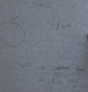 The Lure of a Good Rabbit Hole | math on the edge